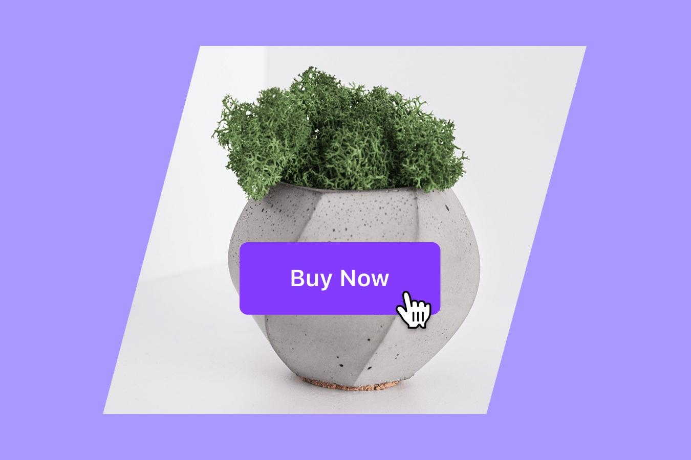 What Is Direct-to-Consumer? A Comprehensive Guide - AMP