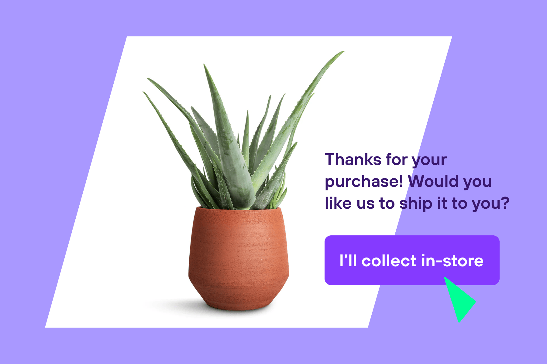 BOPIS Retail: A Convenient Solution for Modern Shoppers. - AMP