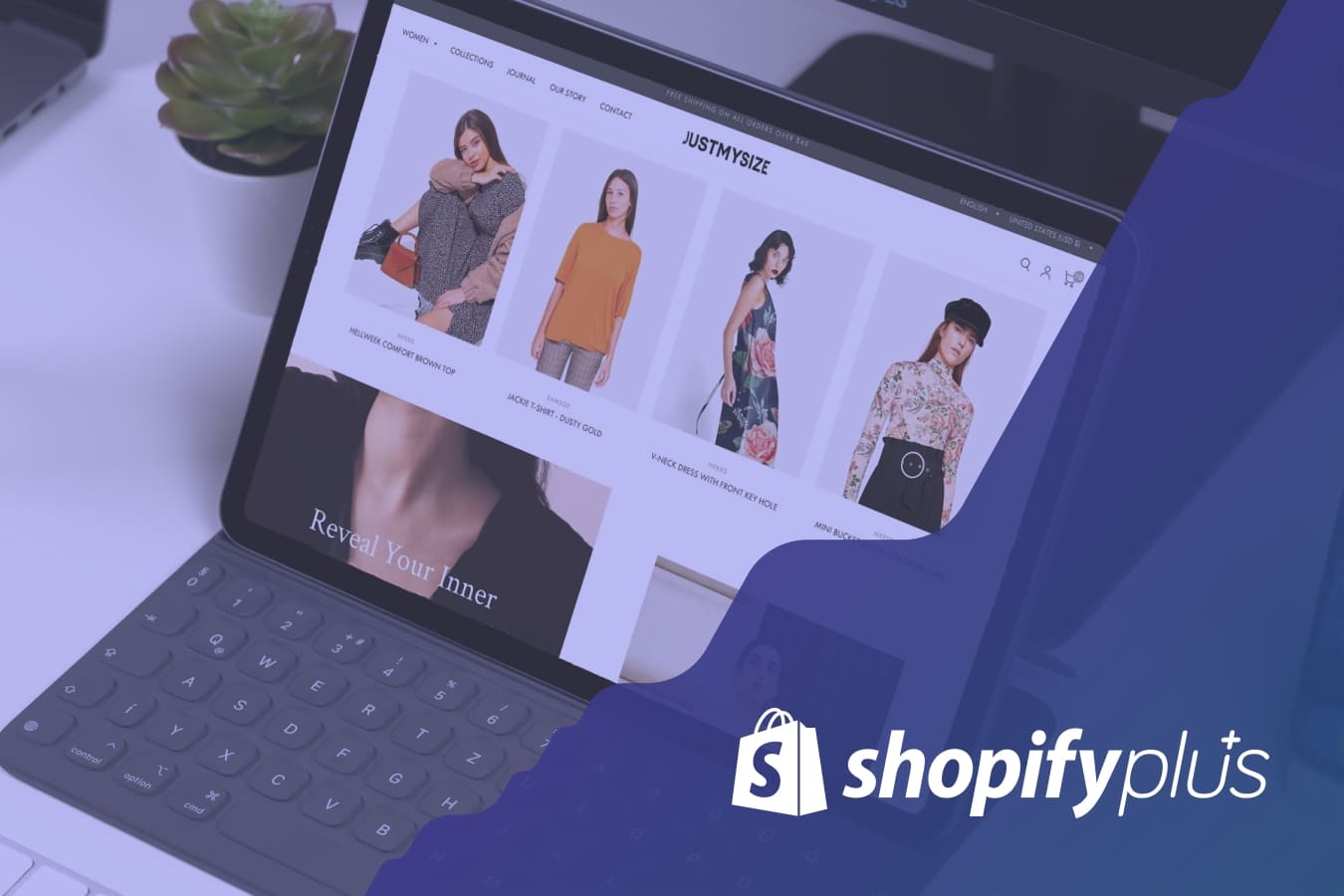 Switching to Shopify Plus? Why, When and How to do it. - AMP