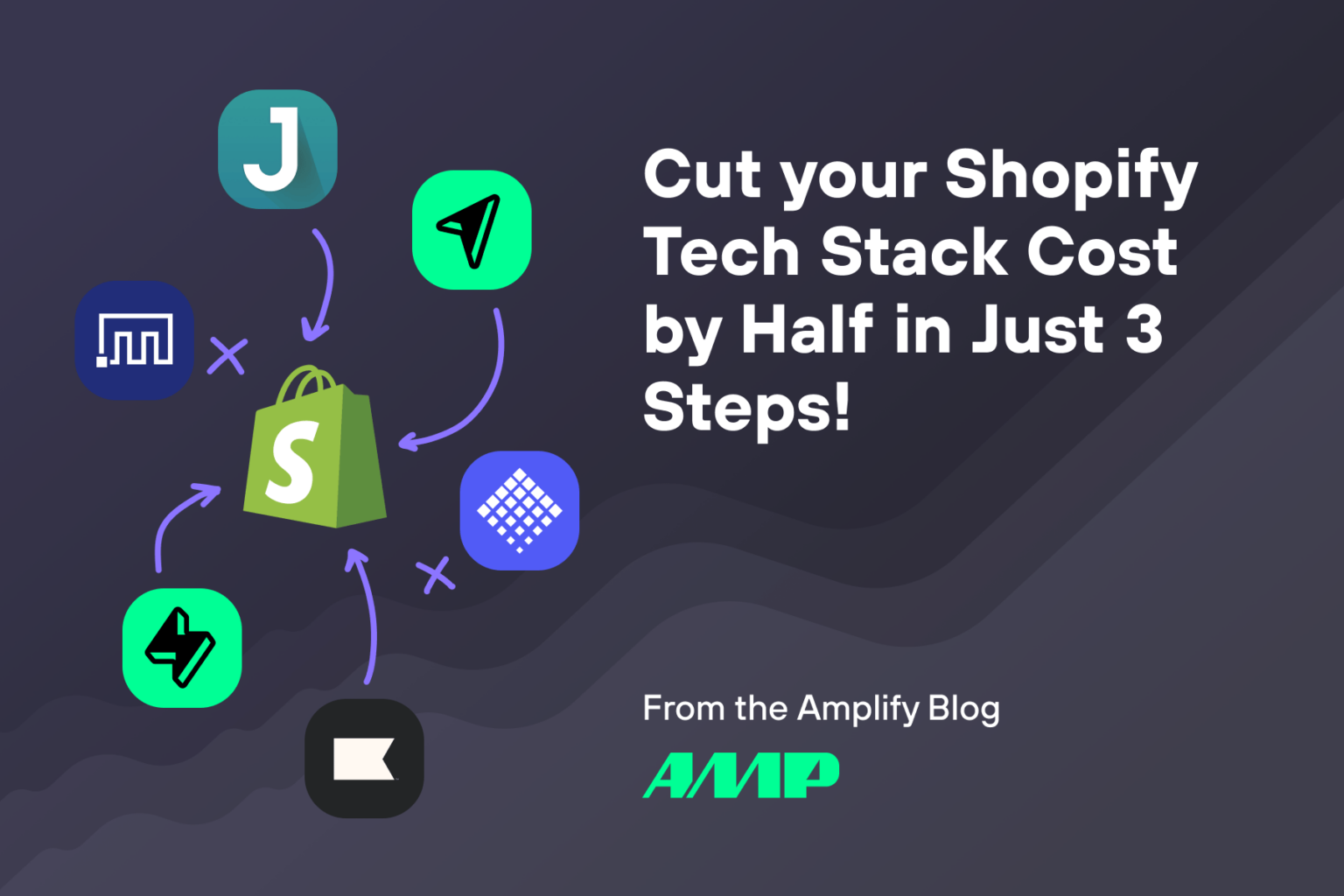 Cut your Shopify Tech Stack Cost in Just 3 Steps! - AMP