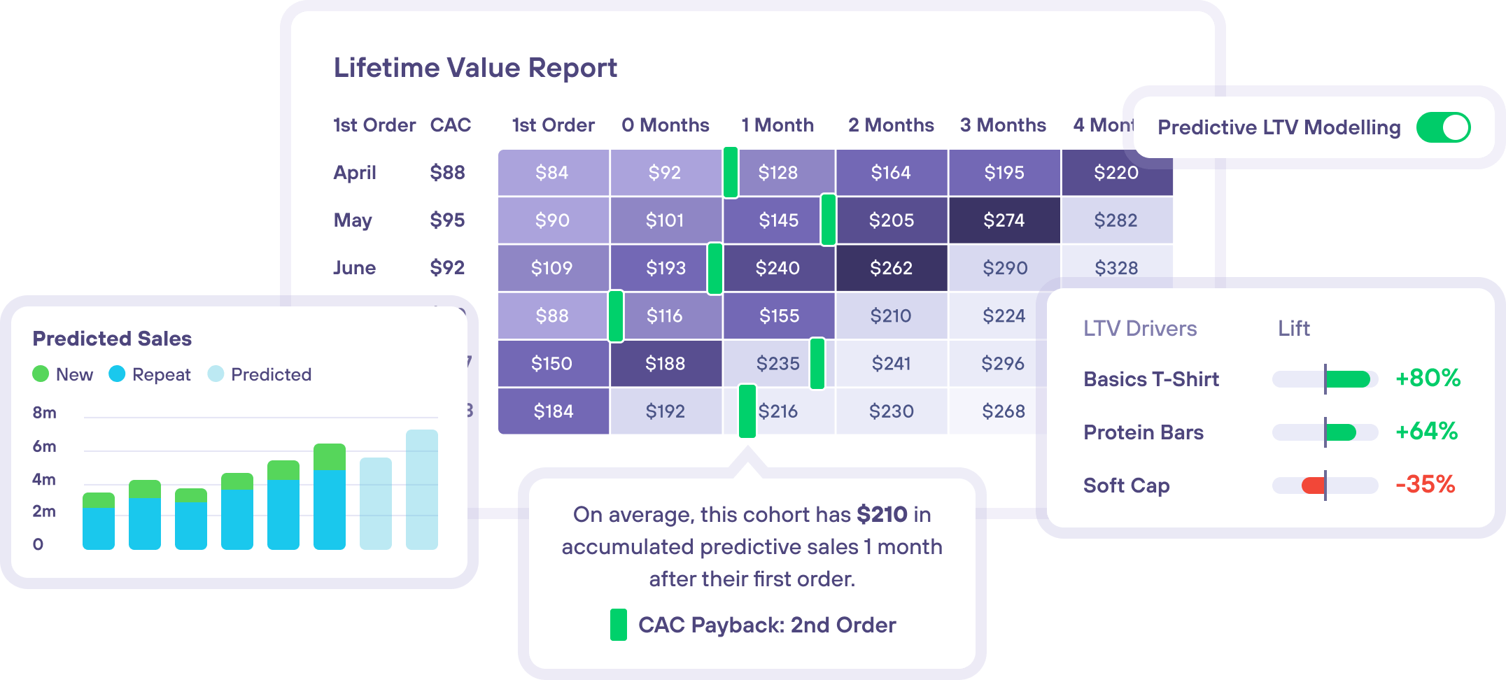 eCommerce Lifetime Value Tracking Software | Lifetimely by AMP