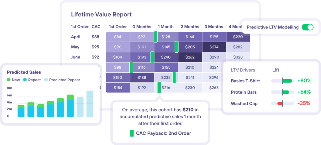 eCommerce Lifetime Value Tracking Software | Lifetimely by AMP