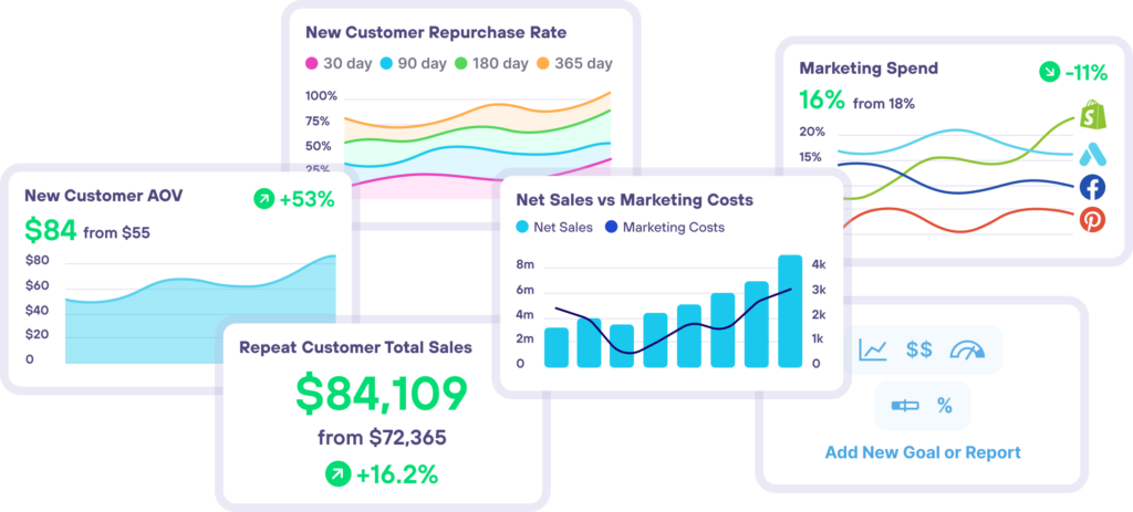 Custom Dashboard Software for eCommerce | Lifetimely by AMP